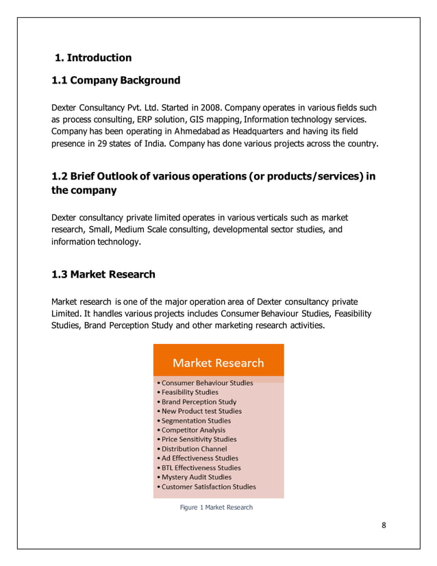 Summer Internship Report Pdf