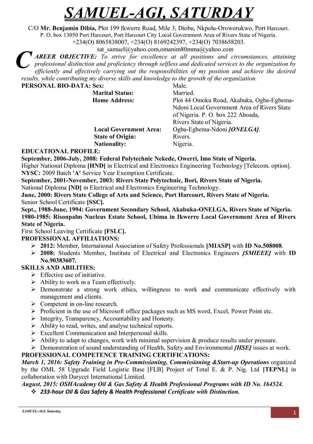 Sat_Sam's CV | PDF