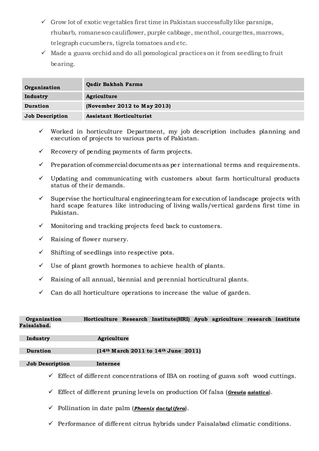 New UPDATED JAHANZEB CV FINLE | DOCX