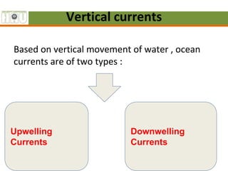 a7kXImOPZCYbj5962SdaKwzrsdGjXqauxsBW6lJn (1) (1) (1) (1).pptx