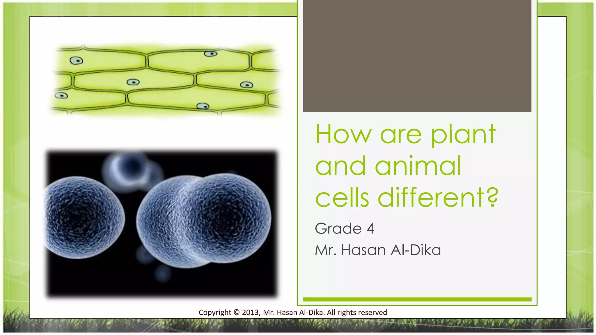 Differences Between Plant and Animal Cells | PPSX
