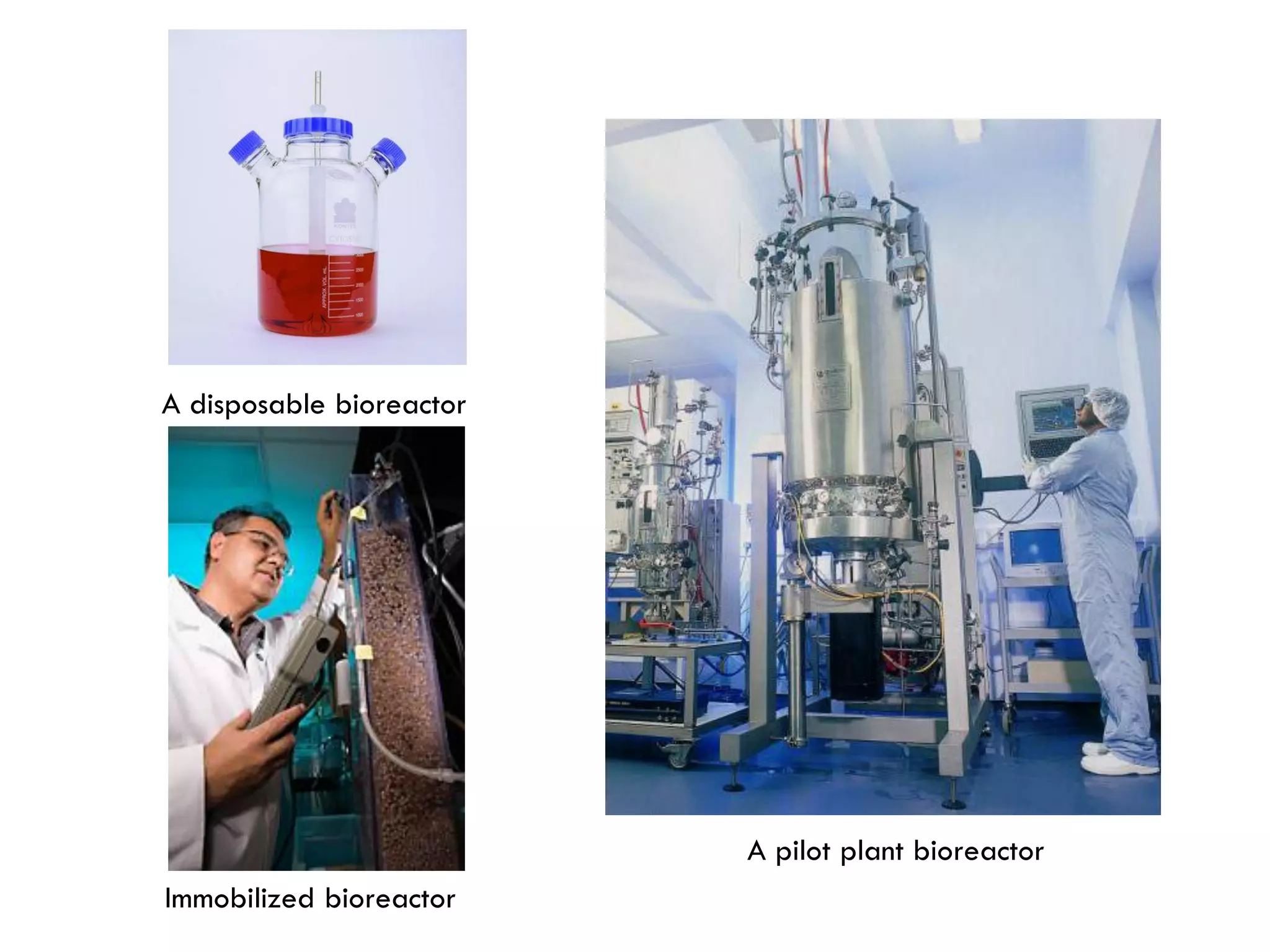 Types of bioreactors new | PDF