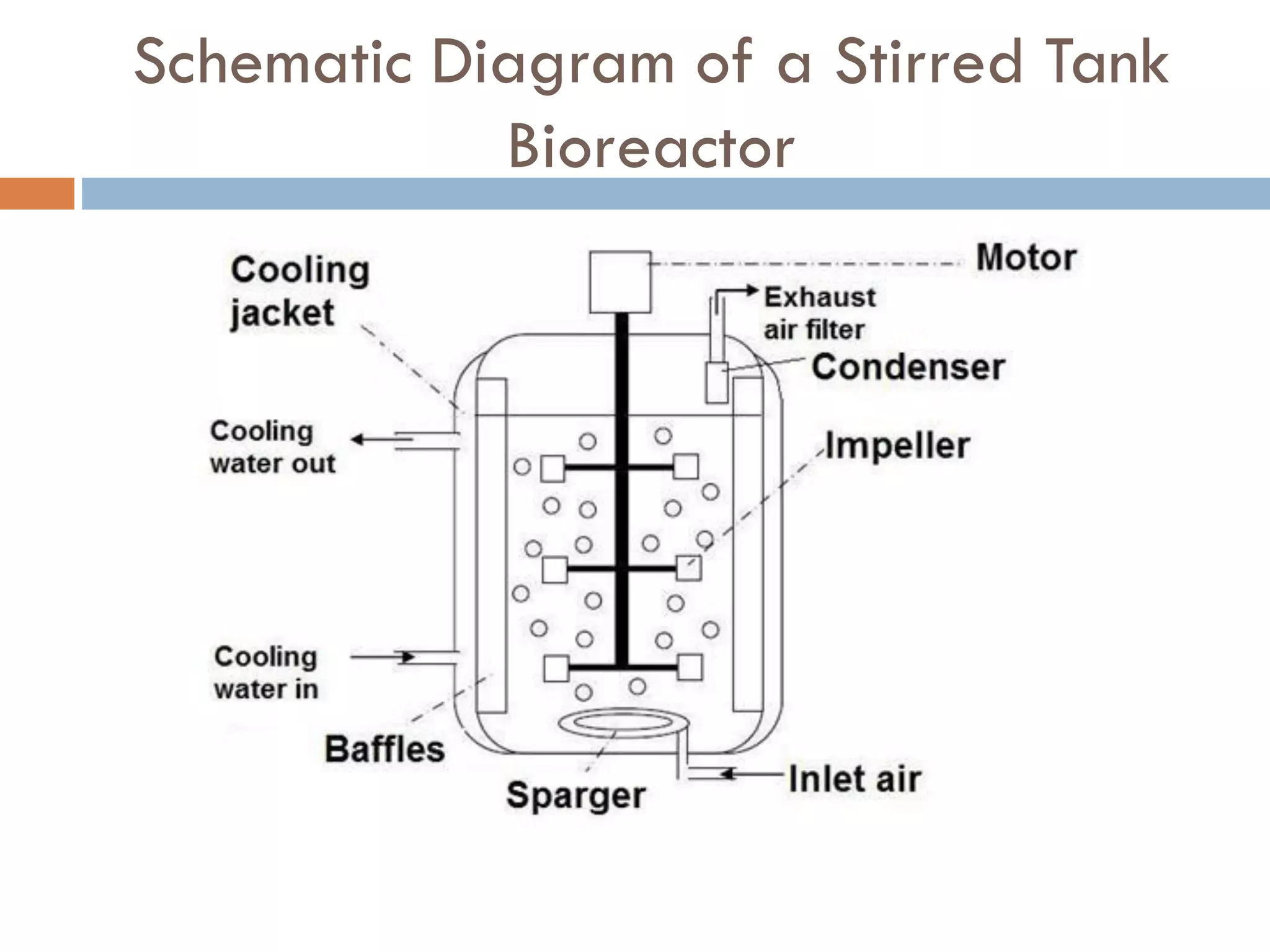 Types of bioreactors new | PDF
