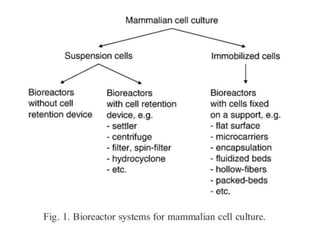 Types of bioreactors new | PDF