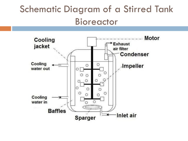 Types of bioreactors new | PDF