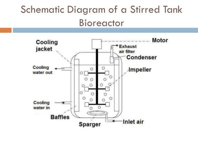 Types Of Bioreactors Notes - Design Talk