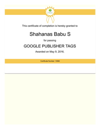 GOOGLE PUBLISHER TAGS | PDF