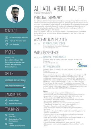 Ali Adil CV | PDF