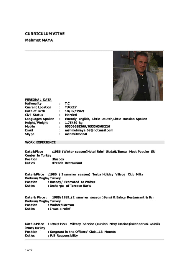 MEHMET MAYA UPDATED CV | PDF