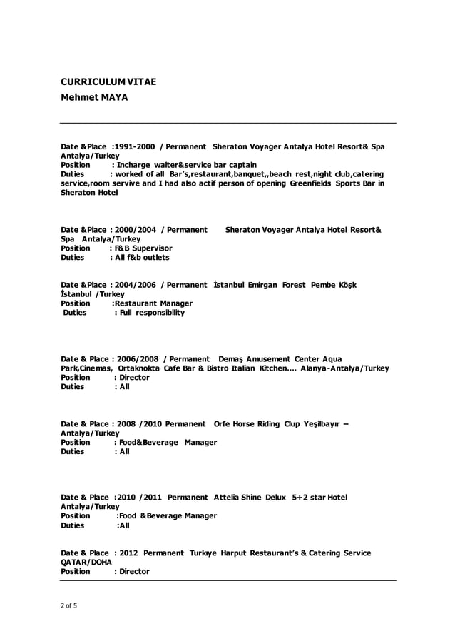 MEHMET MAYA UPDATED CV | PDF