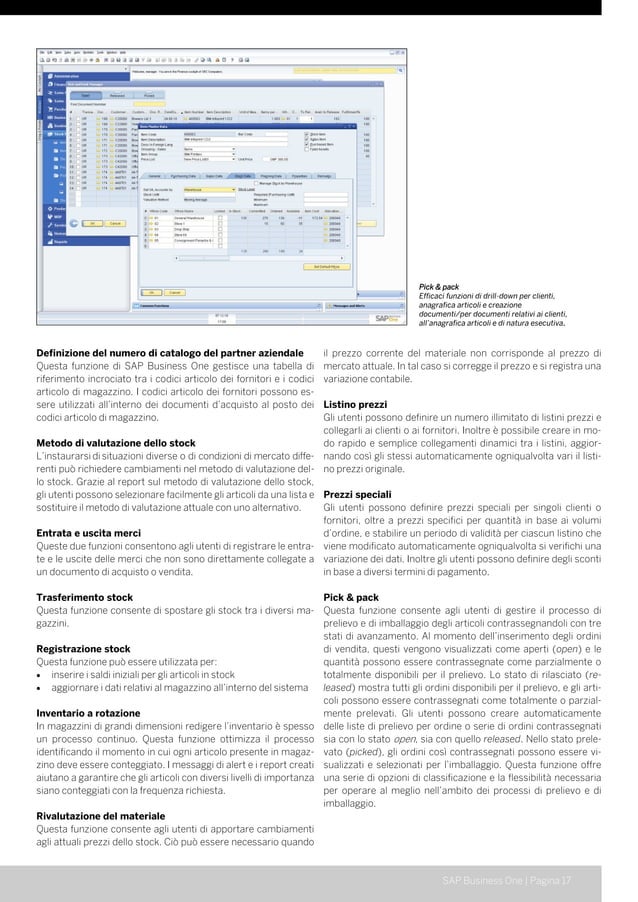SAP_B1_Brochure_Completa | PDF