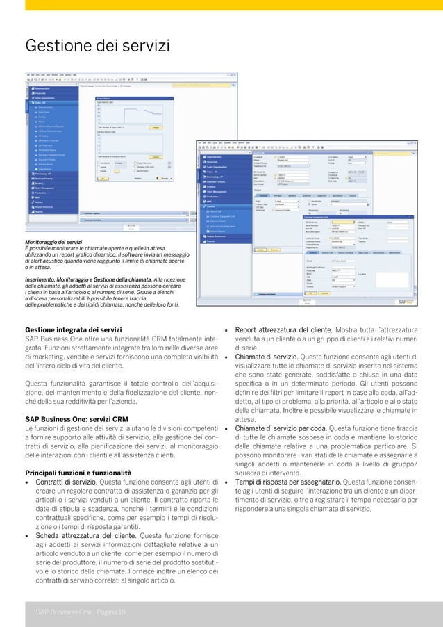 SAP_B1_Brochure_Completa | PDF