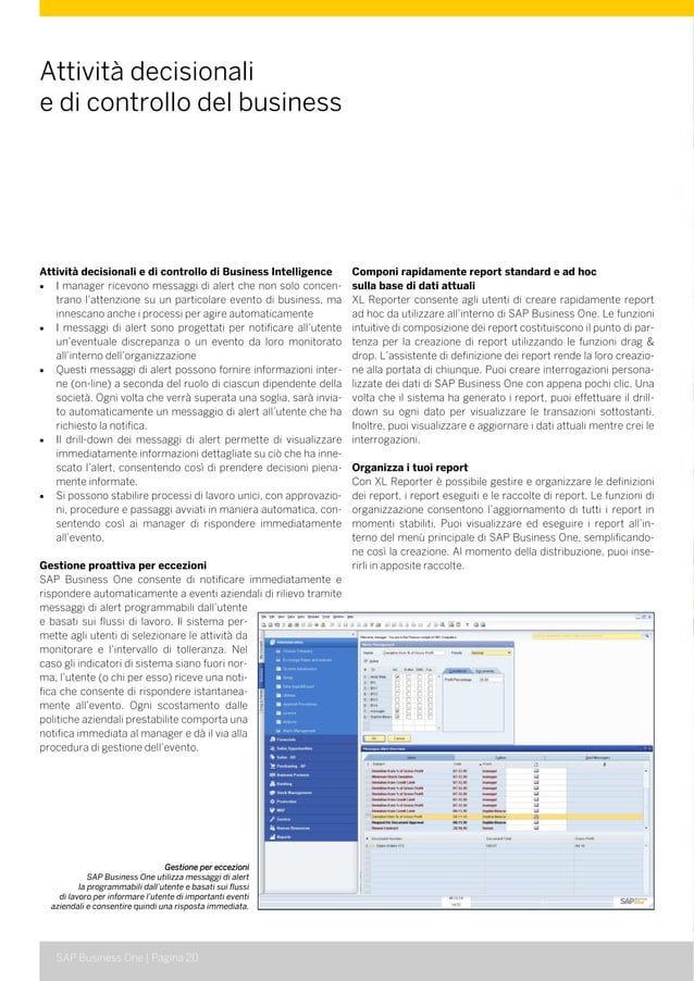 SAP_B1_Brochure_Completa | PDF