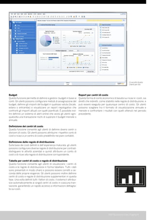 SAP_B1_Brochure_Completa | PDF | Computer Software and Applications | Computing
