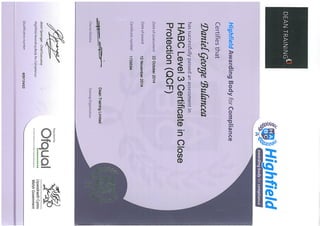 Daniel Bulancea CP | PDF