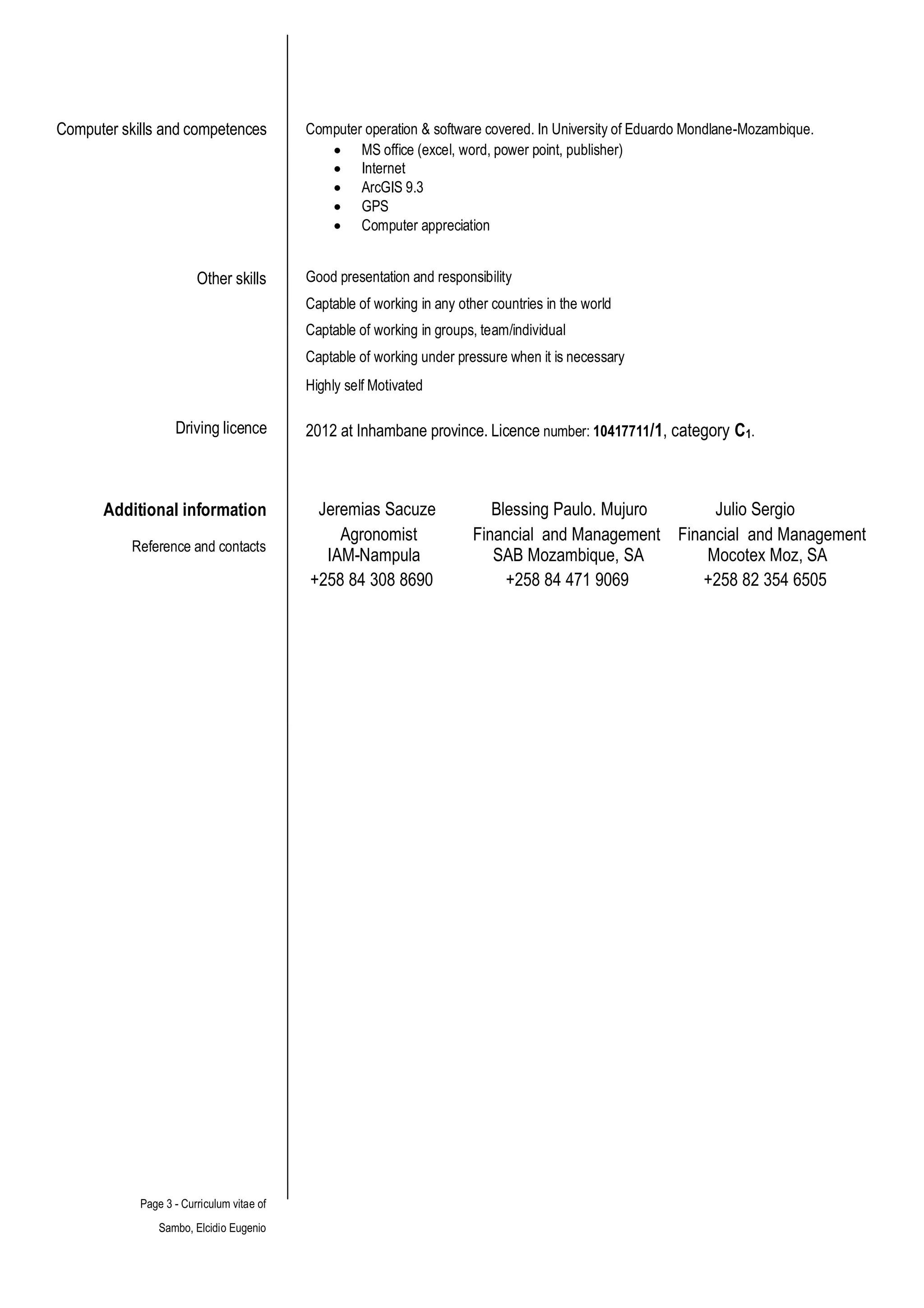 Curriculum_Vitae_English | PDF