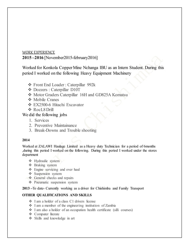 CURRICULUM VITAE | DOCX | Commercial Trucks | Auto Body Styles