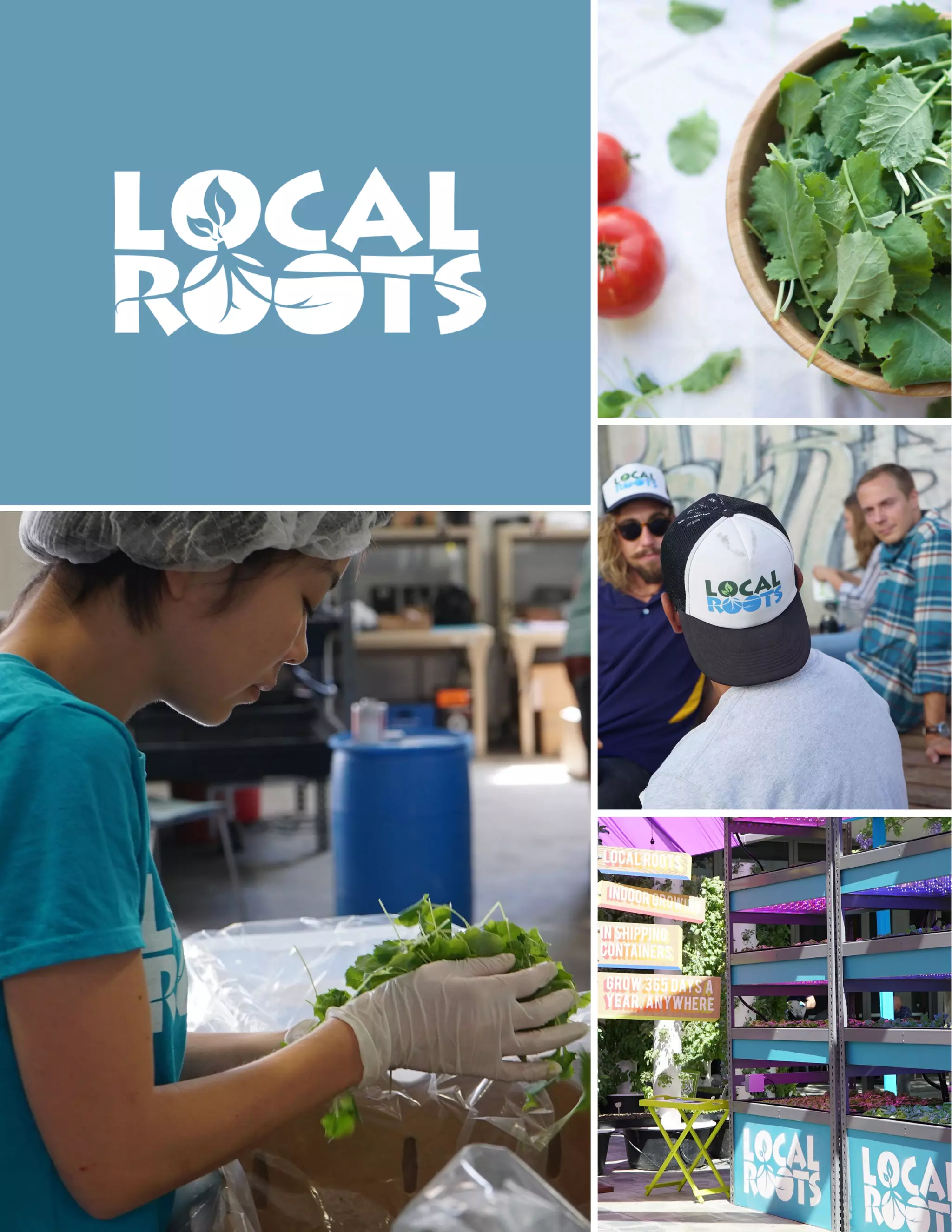 LocalRoots_Company_Overview | PDF