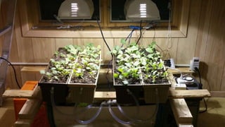 Arduino Garden | PPTX | Gardening | Home & Garden