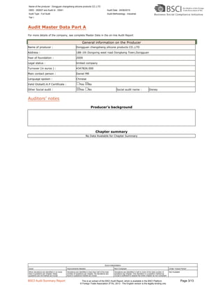 BSCI SummaryAuditReport | PDF