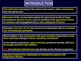 LAMINOPLASTY FINAL | PPT