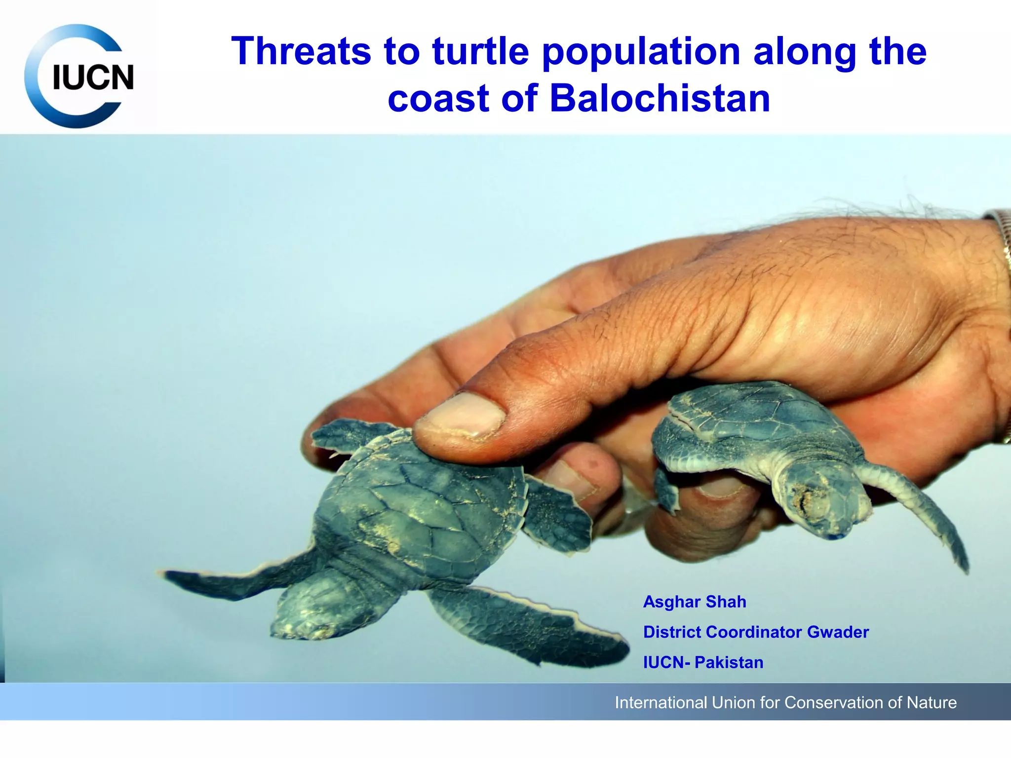 Asghar Shah presentation | PDF
