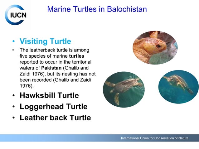 Asghar Shah presentation | PDF