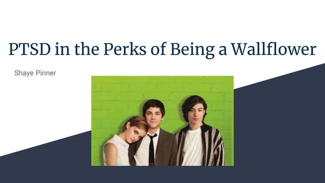 Blockbuster Project | PPT