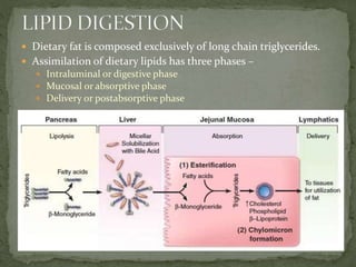 Malabsorption syndromes | PPTX