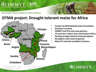 Remote sensing based drought tolerant maize targeting in SSA | PPT ...