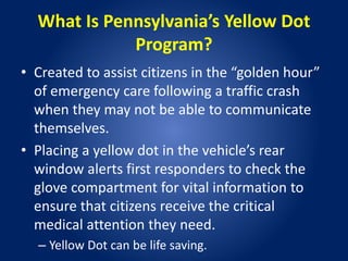Yellow Dot Program | PPTX