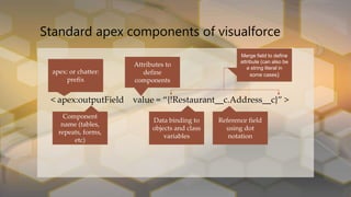 Visualforce | PPT
