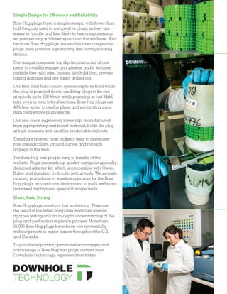 Boss Hog Brochure - Final | PDF
