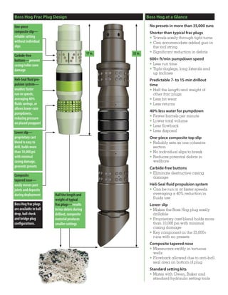 Boss Hog Brochure - Final | PDF