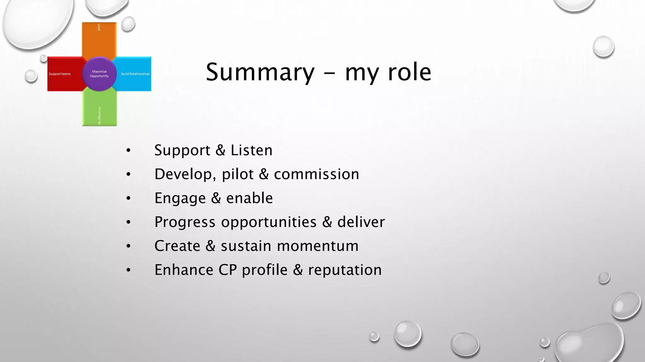 PSDM Role Presentation - 3rd March 2016 v3 | PPT