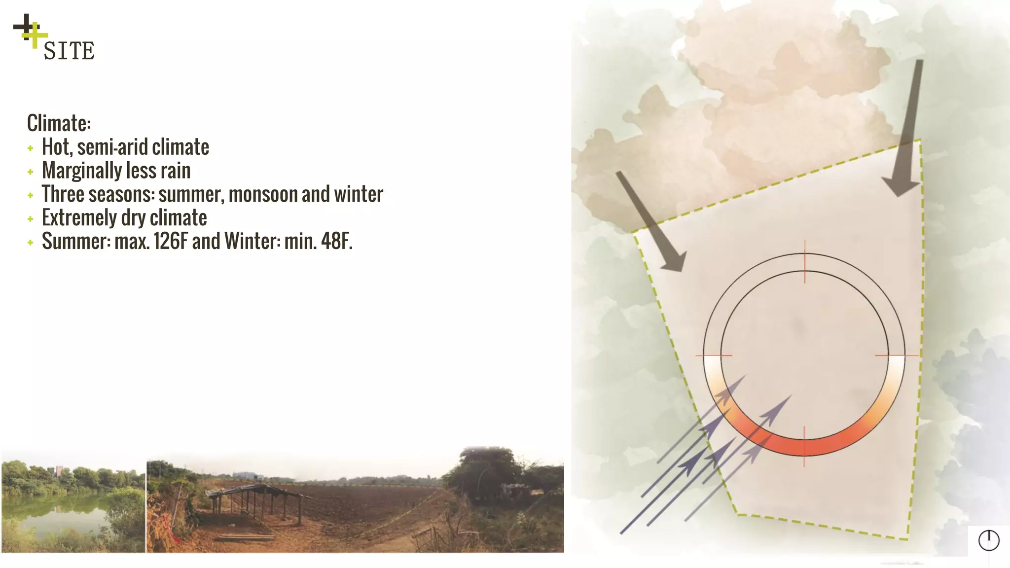 finalpresentation | PDF | Cancer | Diseases and Conditions