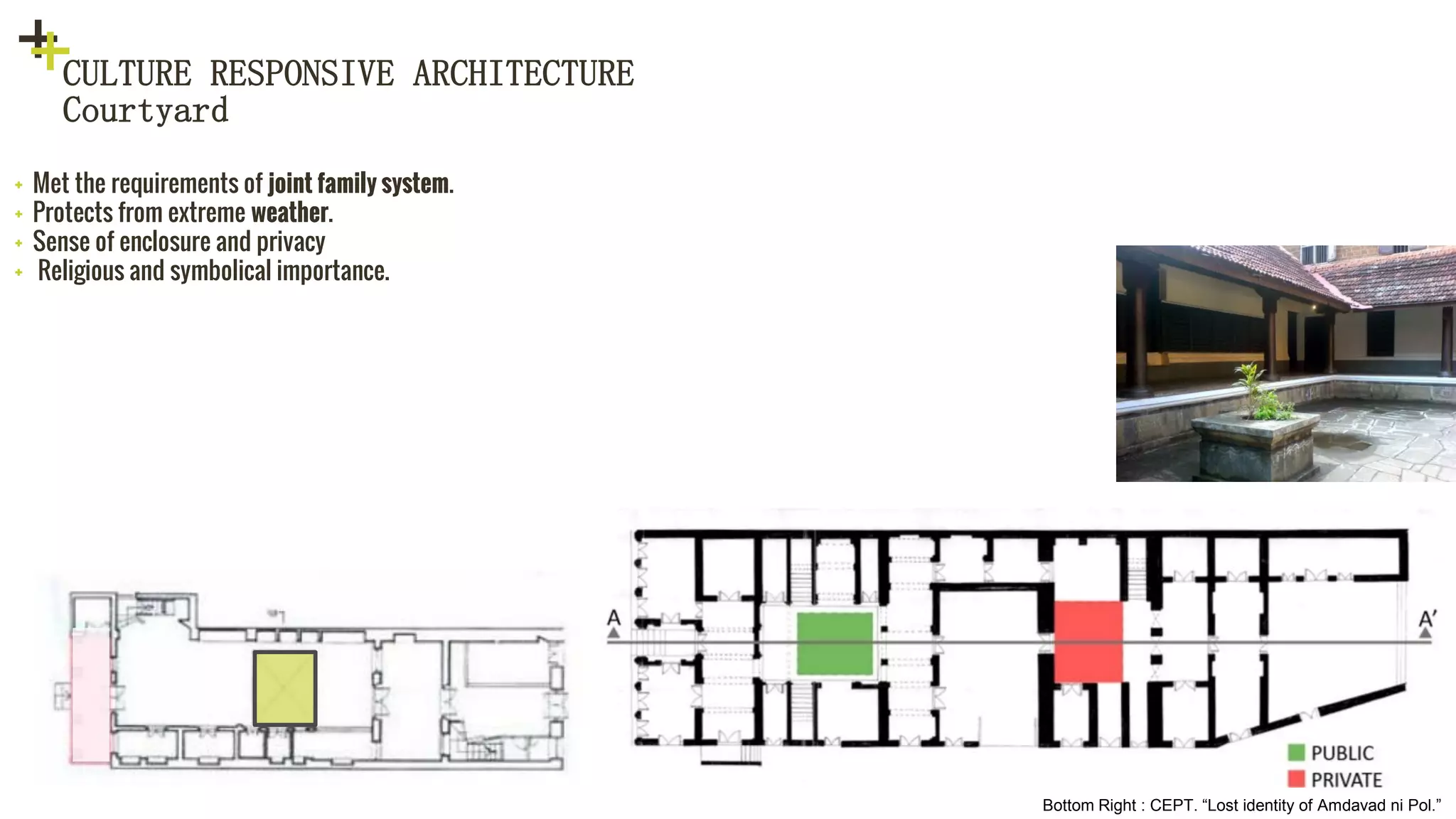 finalpresentation | PDF | Cancer | Diseases and Conditions