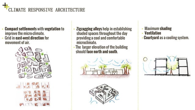 finalpresentation | PDF | Cancer | Diseases and Conditions