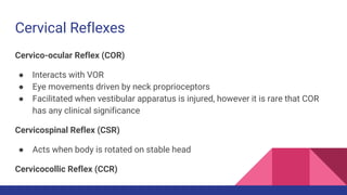 Vestibular Presentation | PPT