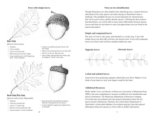 2012CarletonArboretumTreePamphlet | PPT