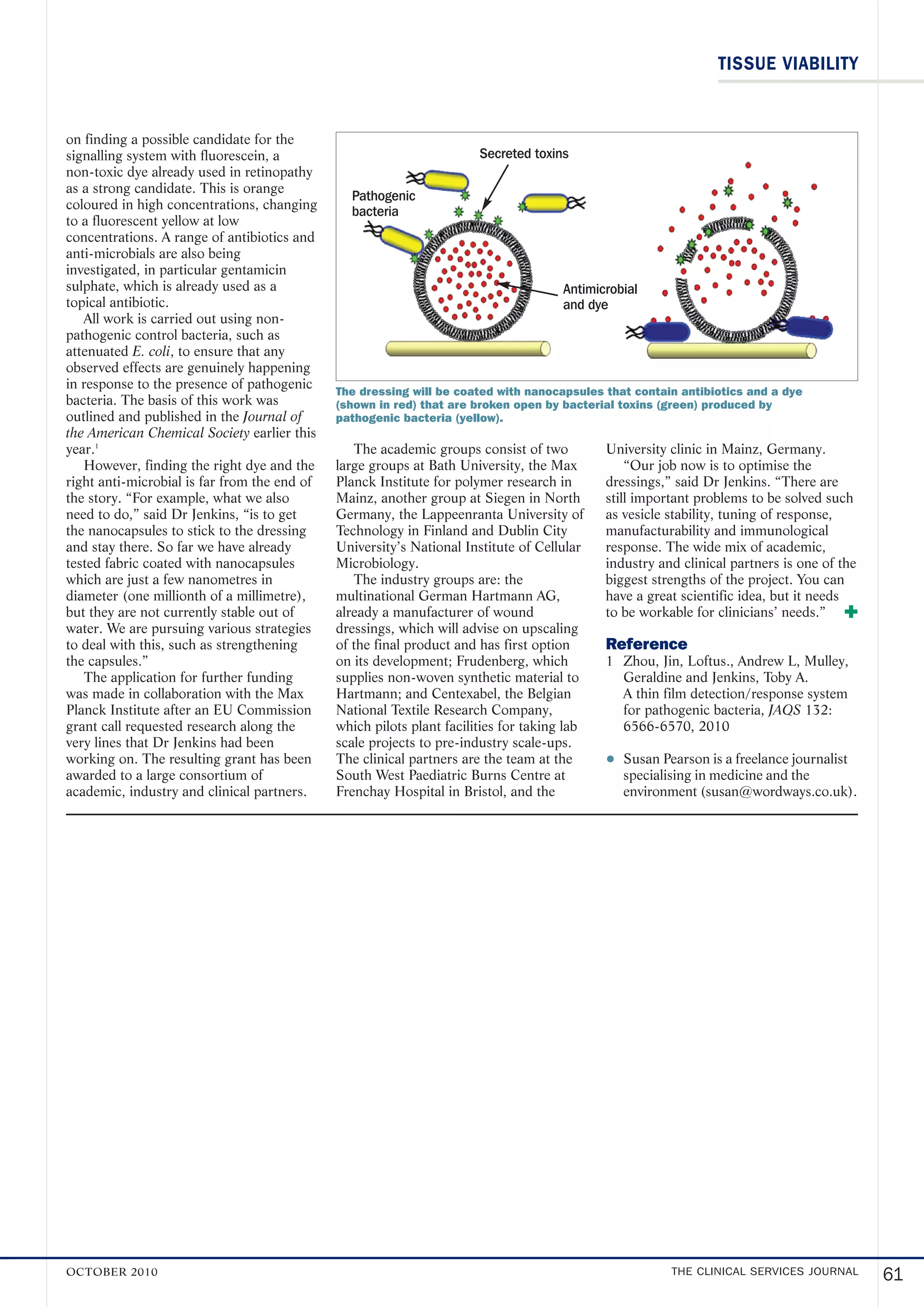 Burns dressing | PDF
