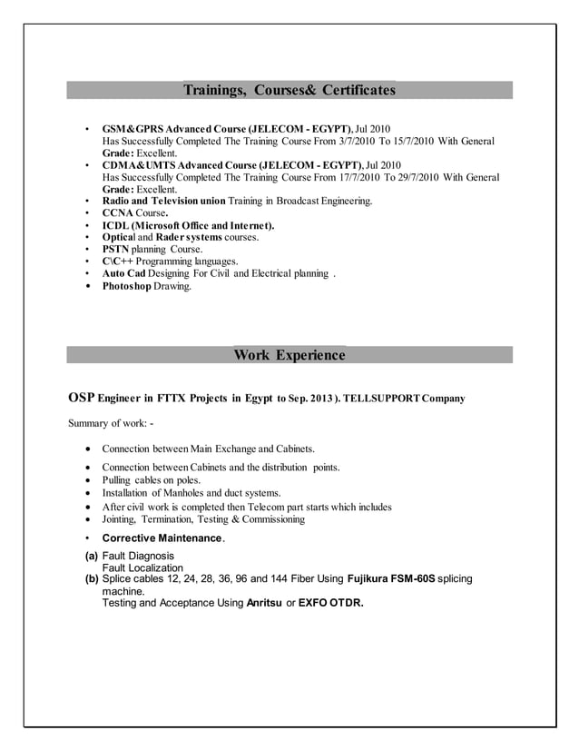 Mohamed Ragab CV | PDF