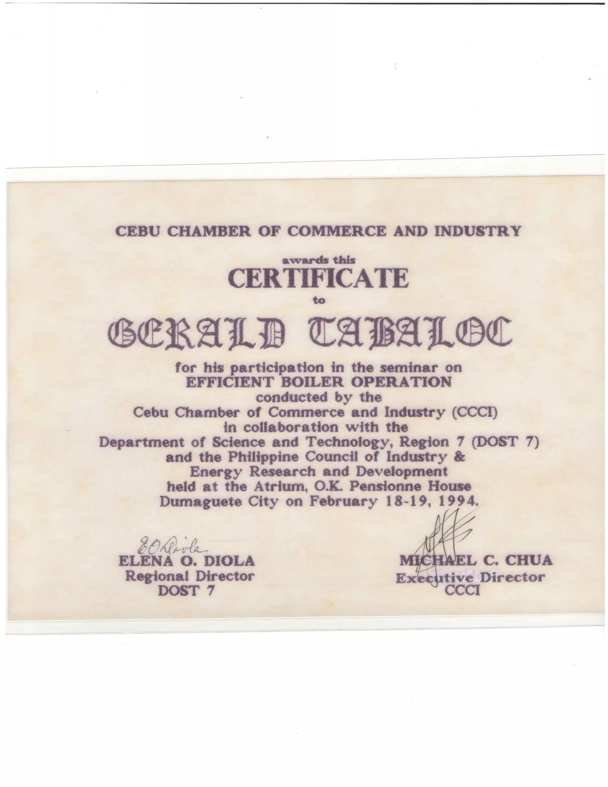CAB Effective Boiler operation | PDF