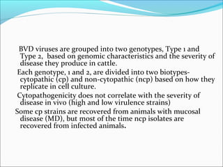 Bovine Viral Diarrhea | PPT