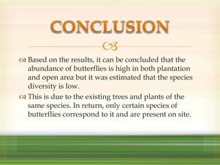 Butterfly Population in UPM, Serdang | PPTX | Biological Sciences | Science