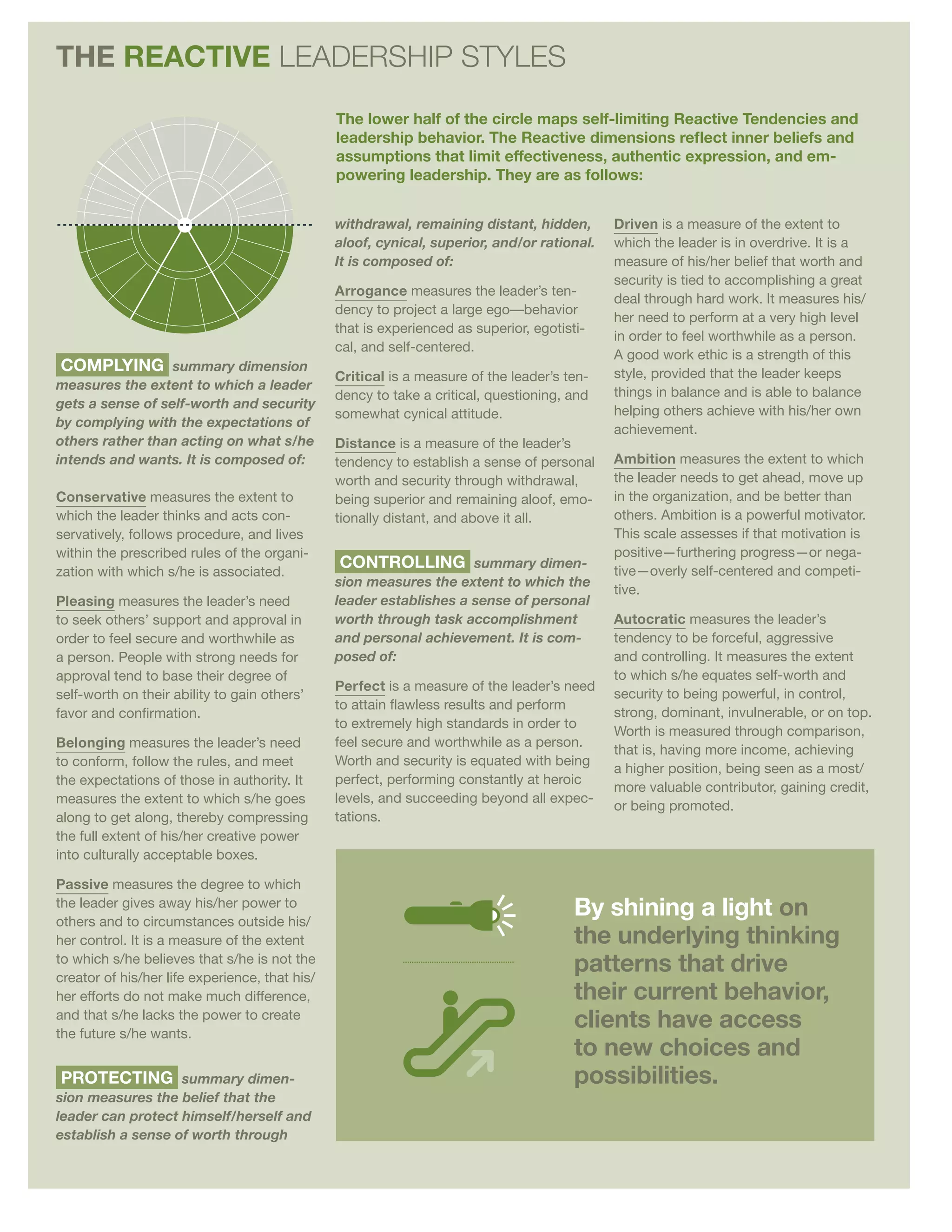 Brochure The Leadership Circle | PDF