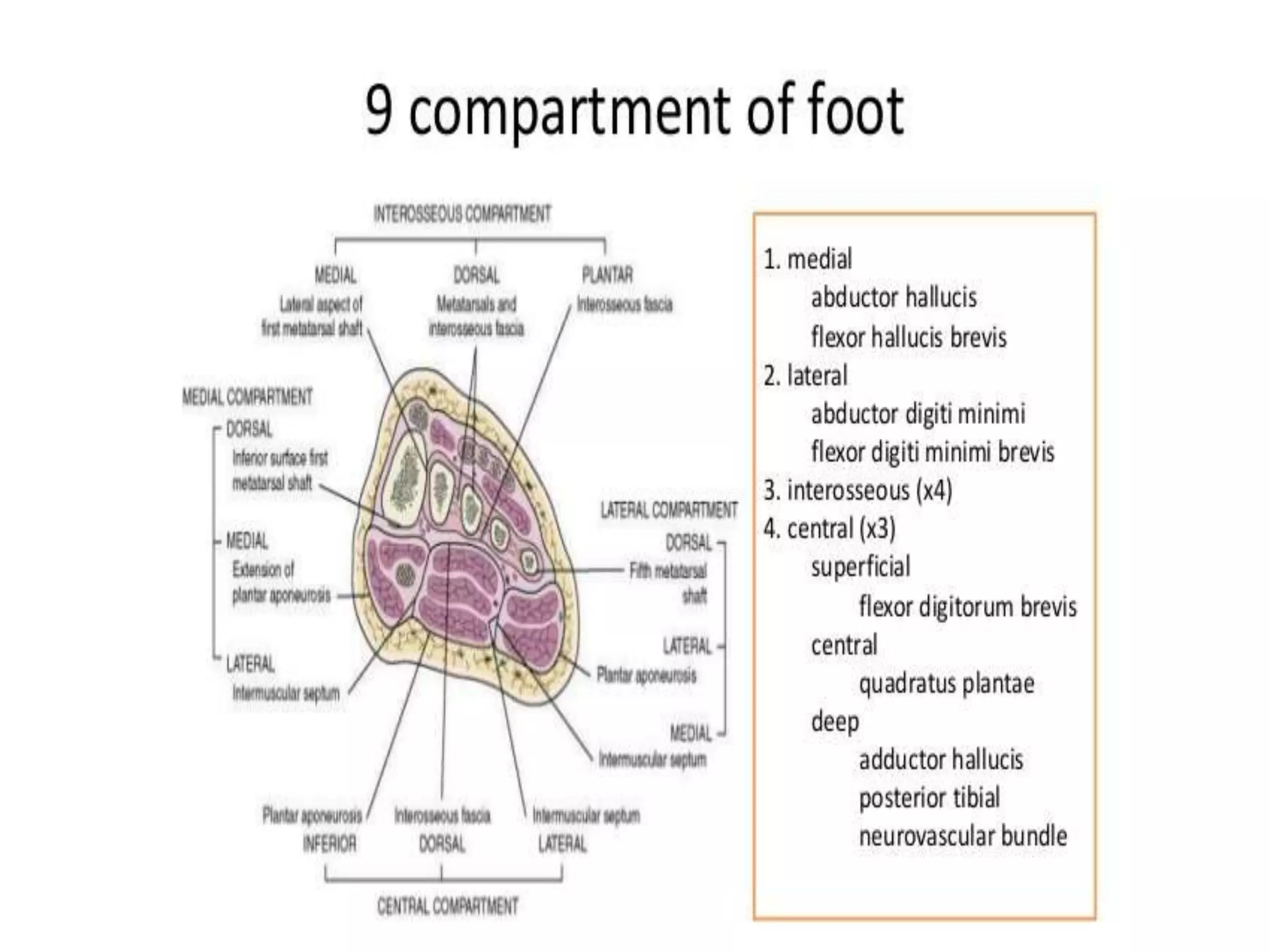 Compartment_Syndrome_CME-1.pptx