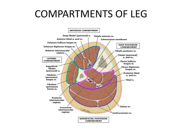 Compartment_Syndrome_CME-1.pptx