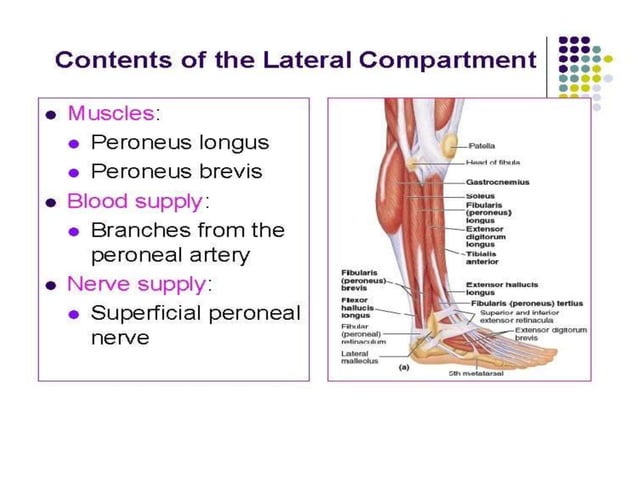Compartment_Syndrome_CME-1.pptx