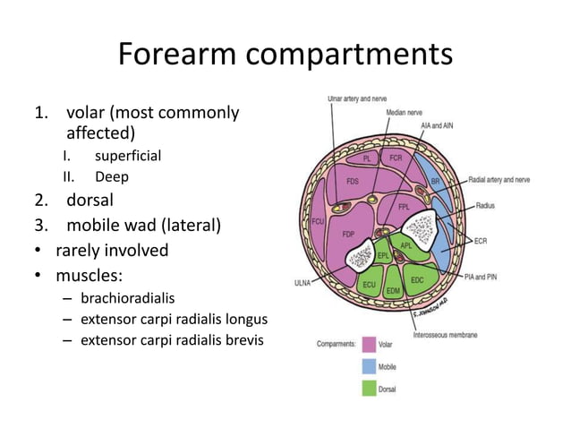 Compartment_Syndrome_CME-1.pptx